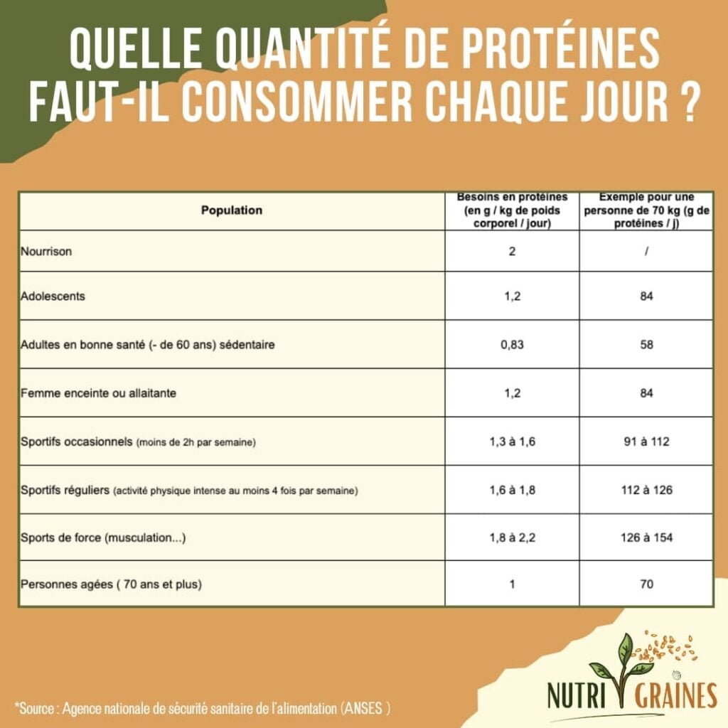 Protéines et acides aminés: Les points importants à connaître