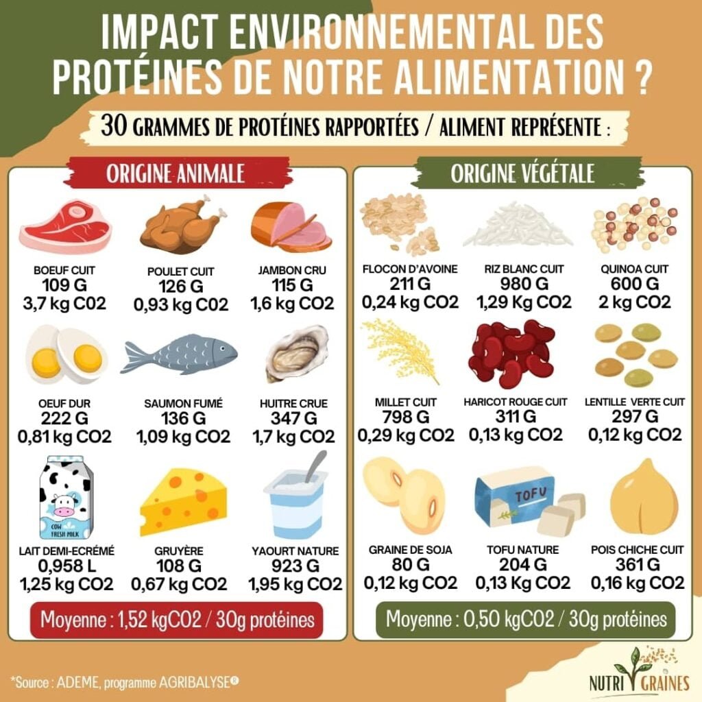 Graines de Millet: Une céréale au grand potentiel nutritionnel