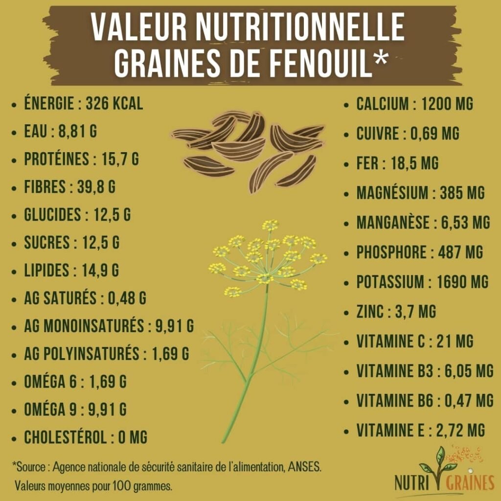 Graines de fenouil : Utilisations, bienfaits & bien-être